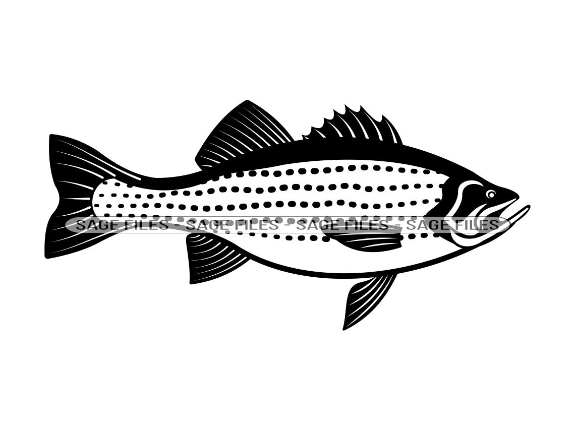 Striped Bass SVG Fishing Svg Fish Svg Fishing Clipart - Etsy UK