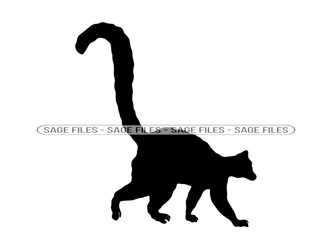 Lemur Silhouette SVG, Lemur SVG, Lemur Clipart, Lemur Files for Cricut ...