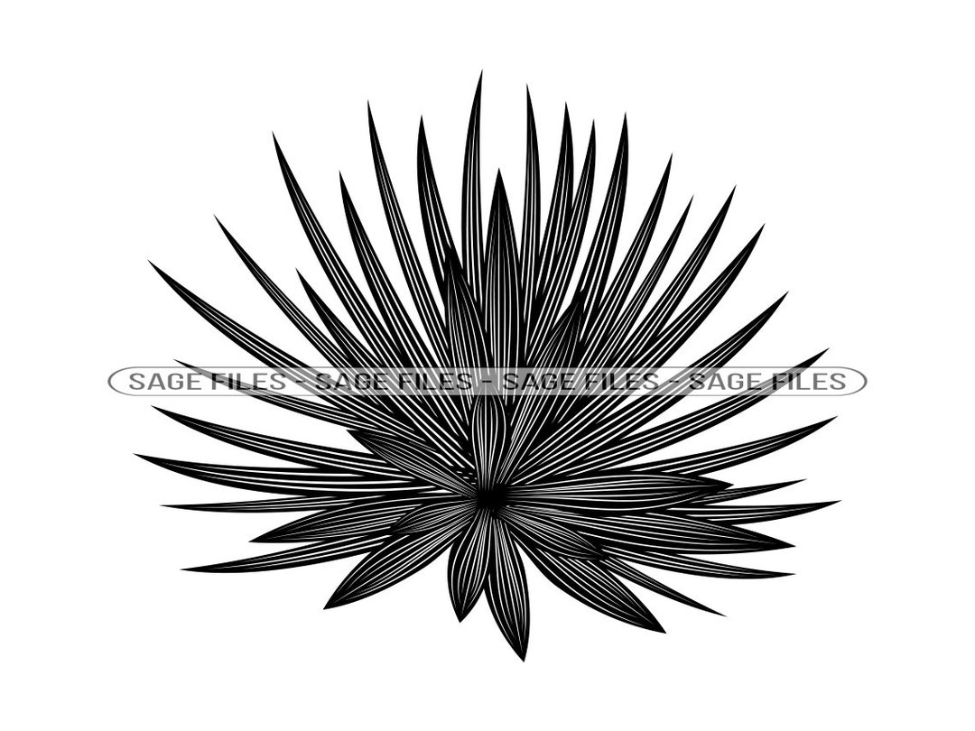 Agave Plant SVG, Agave Plant Clipart, Agave Plant Files for Cricut ...