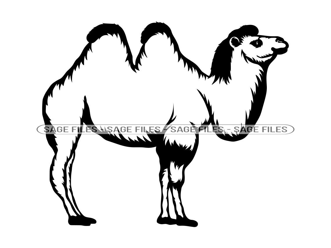 Camel Clipart Black And White