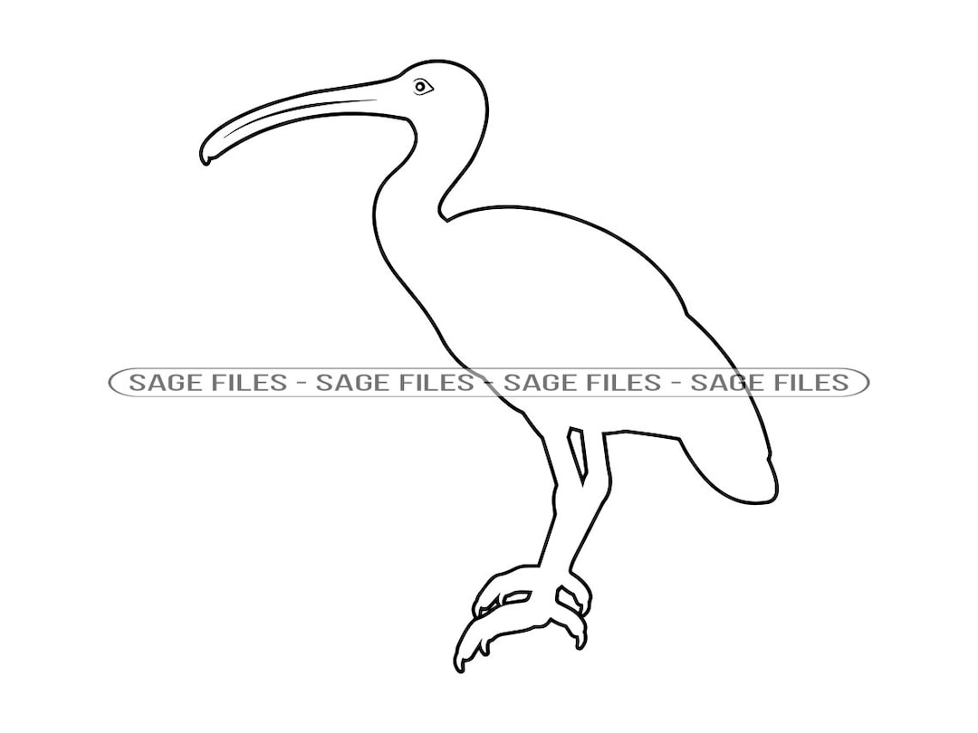 Ibis Outline SVG, Ibis SVG, Bird SVG, Ibis Clipart, Ibis Files for ...