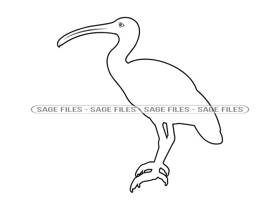 Ibis Outline SVG Ibis SVG Bird SVG Ibis Clipart Ibis Files - Etsy