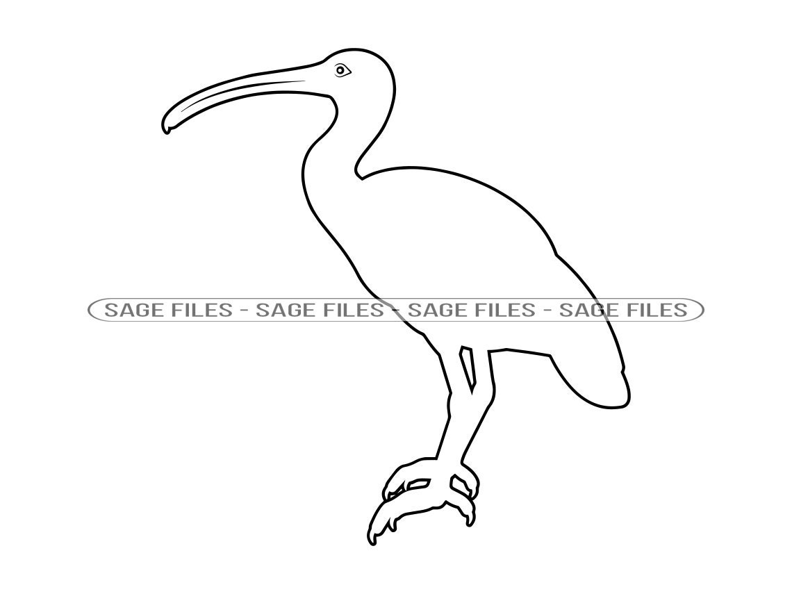 Ibis Outline SVG Ibis SVG Bird SVG Ibis Clipart Ibis Files - Etsy