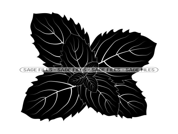 Mint Leaves 2 SVG Mint Svg Leaf Svg Leaf Clipart Leaf - Etsy