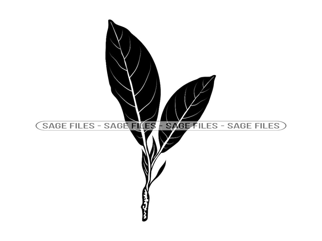 Tea Leaf SVG, Tea Leaf Clipart, Tea Leaf Files for Cricut, Tea Leaf Cut ...