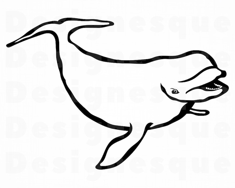 Beluga Whale SVG Whale Svg Beluga Whale Clipart Beluga - Etsy