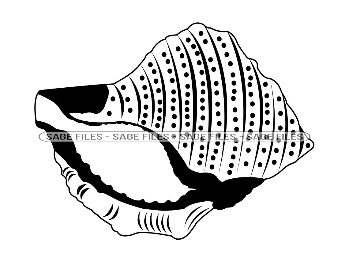 Seashell 5 SVG Sea Shell SVG Nautical SVG Ocean Svg - Etsy