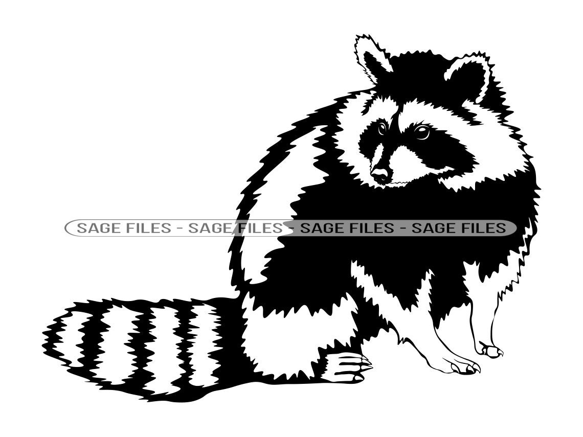 Racoon 5 SVG Racoon SVG Racoon PNG Racoon Design Racoon - Etsy