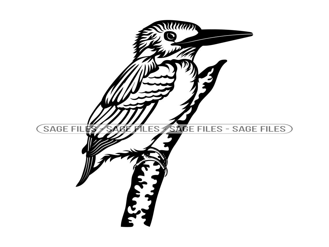 Kingfisher 2 SVG, Kingfisher SVG, Bird Svg, Kingfisher Clipart ...