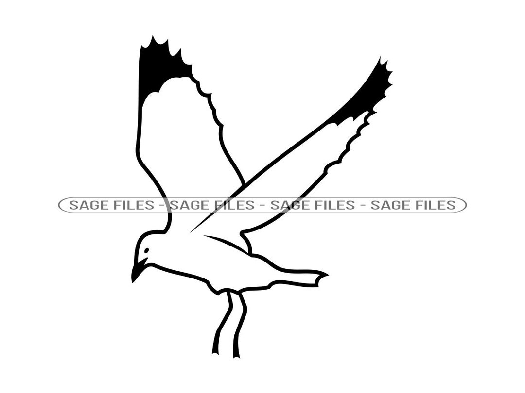 Seabird 3 Svg, Sea Bird SVG, Flying Bird Svg, Seabird Clipart, Seabird ...