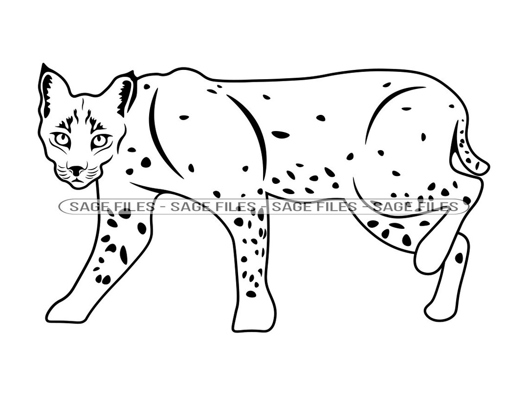 Bobcat 5 SVG, Bobcat SVG, Bobcat PNG, Bobcat Design, Bobcat Clipart ...