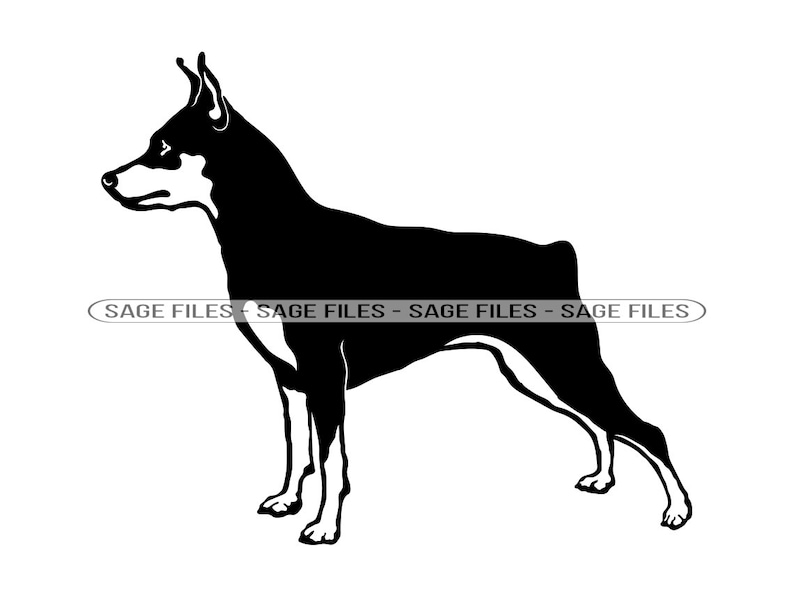 Miniature Pinscher SVG, Dog Svg, Miniature Pinscher Clipart, Miniature ...