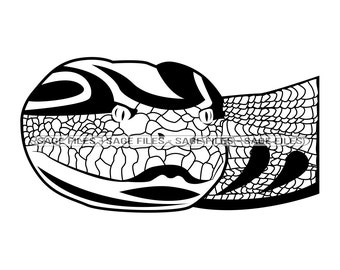 Png 5 Anaconda, Anaconda PNG, Snake PNG, Python PNG, Anaconda Clipart ...