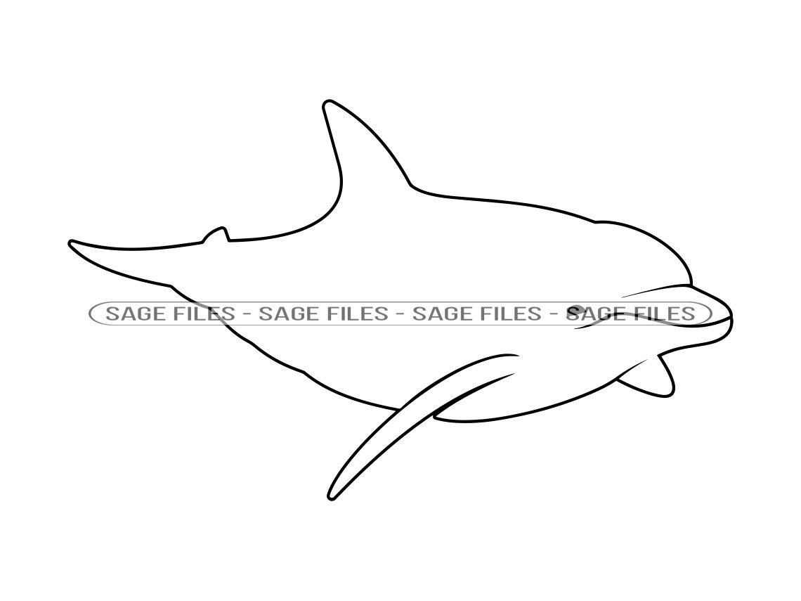 Dolphin Outline