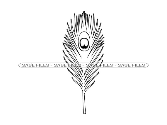 Peacock Feather Drawing Outline