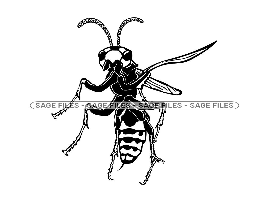 Wasp 2 SVG Wasp SVG Bee Svg Wasp Clipart Wasp Files for - Etsy