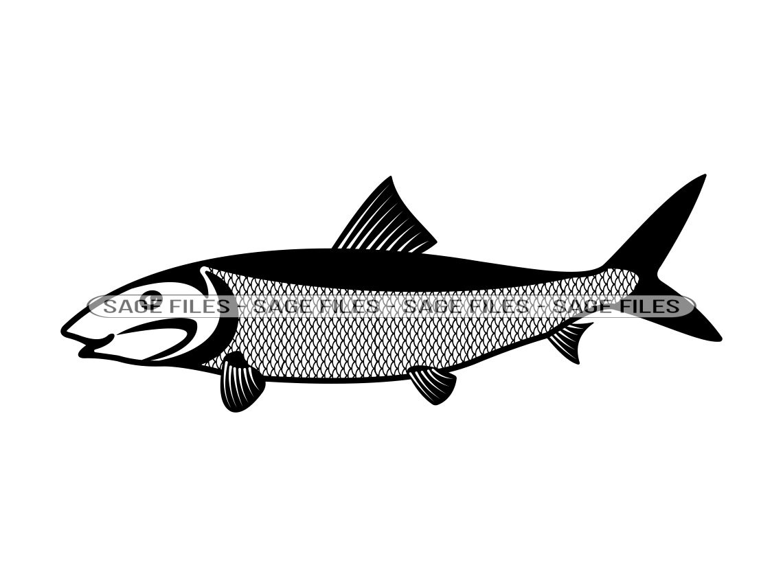 Bonefish SVG Fishing Svg Fish Svg Fishing Clipart Fishing - Etsy Hong Kong