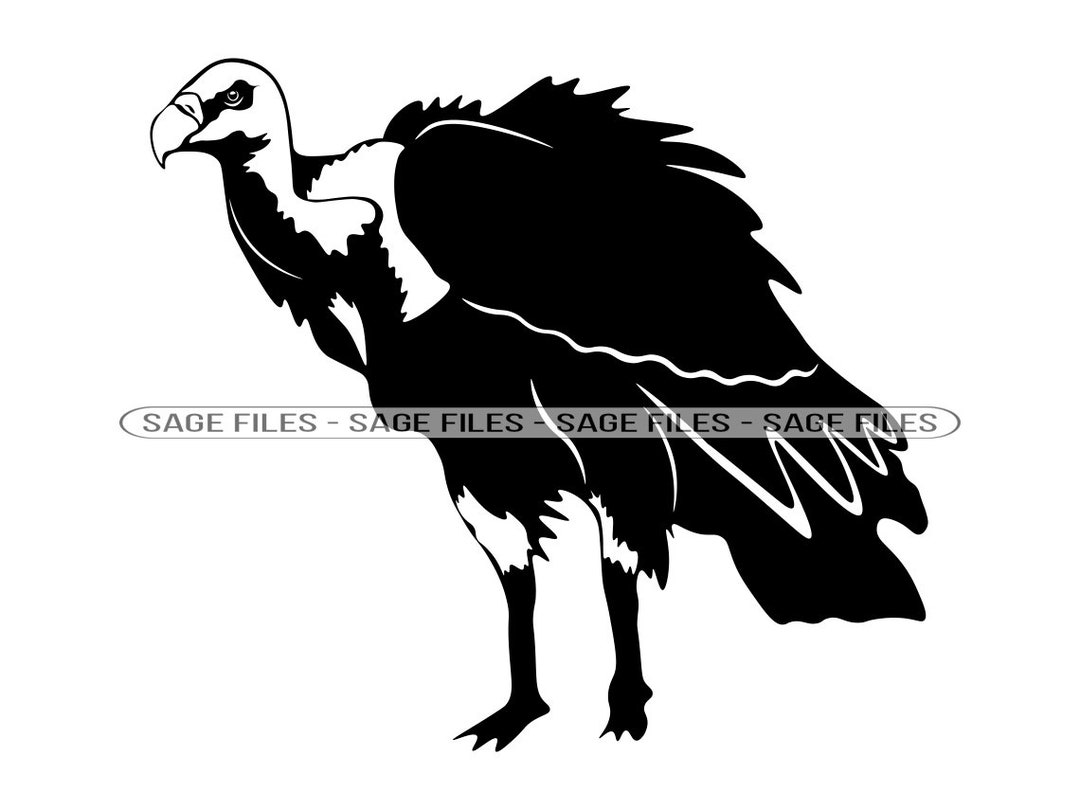Vulture #6 SVG, Vulture SVG, Vulture PNG, Vulture Design, Vulture ...