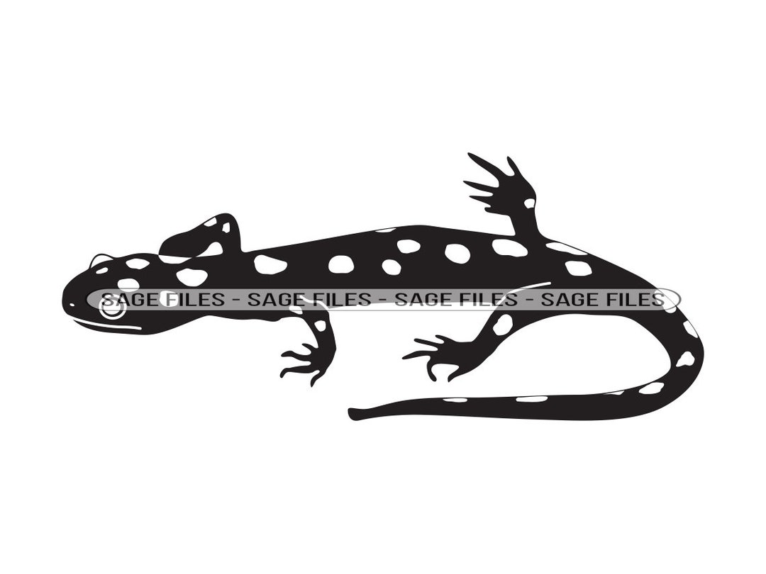 Gecko SVG, Salamander SVG, Lizard Svg, Salamander Clipart, Salamander ...