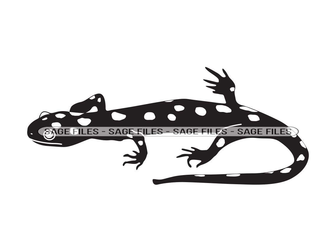 Gecko SVG Salamander SVG Lizard Svg Salamander Clipart - Etsy