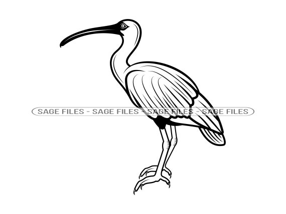 Ibis SVG Bird SVG Ibis Clipart Ibis Files for Cricut Ibis - Etsy