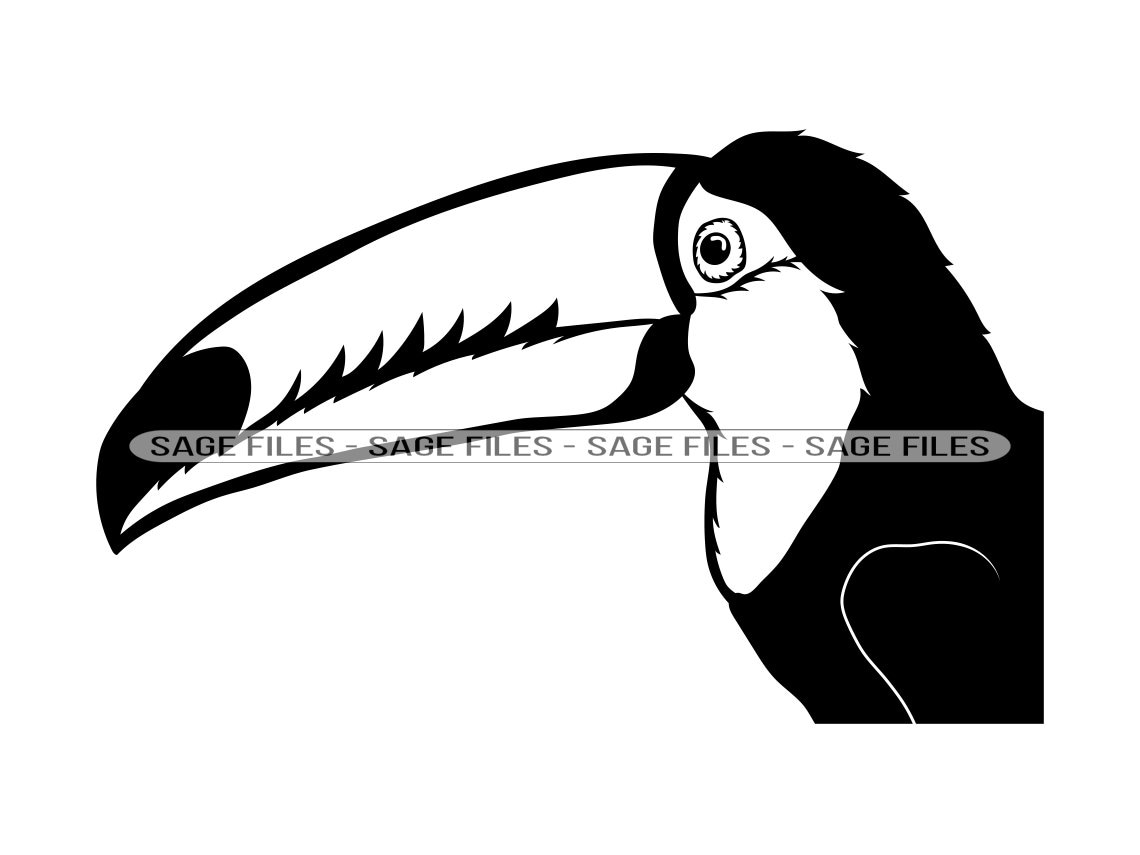 Toucan Head SVG, Toucan Svg, Bird Svg, Toucan Clipart, Toucan Files for ...