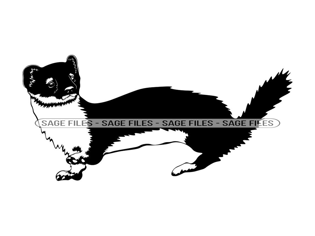 Weasel #6 SVG, Weasel SVG, Weasel PNG, Weasel Design, Weasel Clipart ...