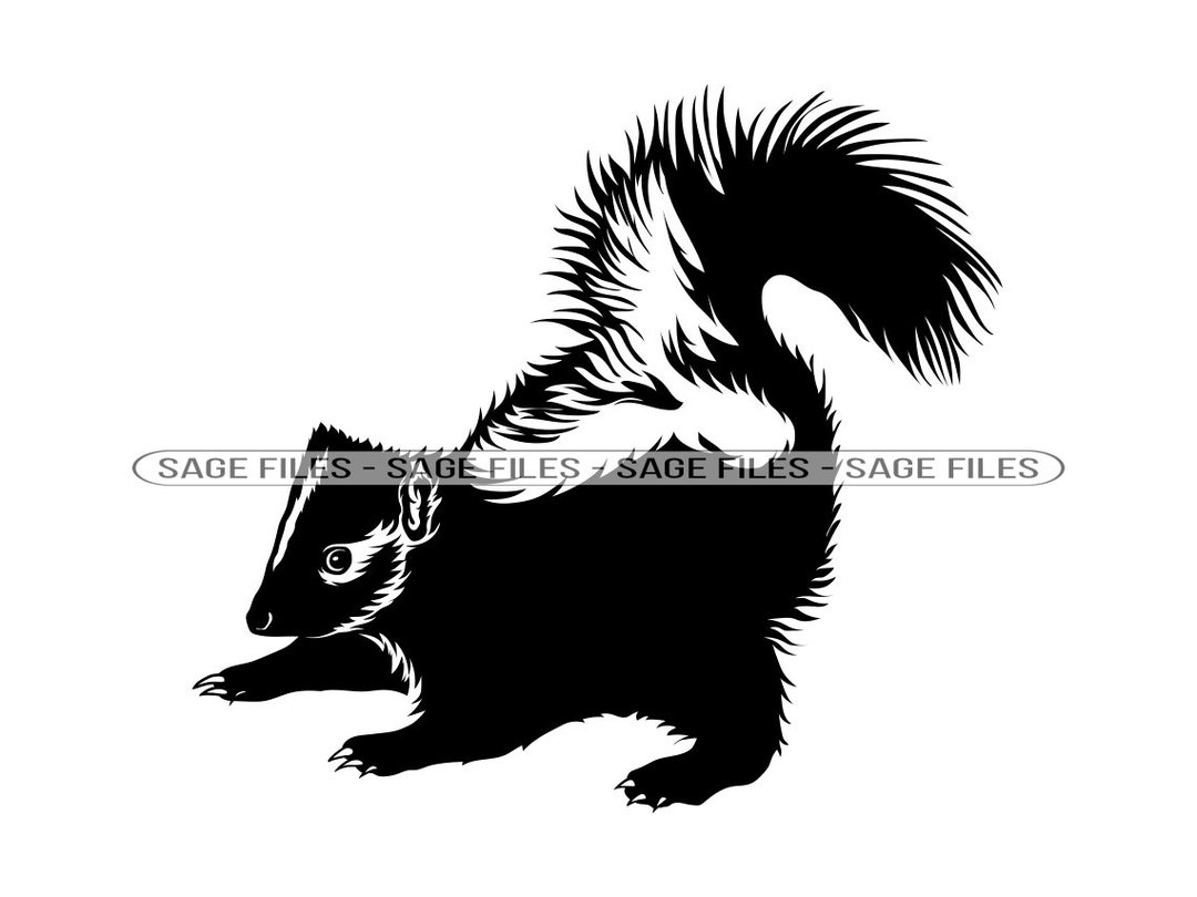 Baby Skunk SVG, Skunk SVG, Skunk Clipart, Skunk Files for Cricut, Skunk ...
