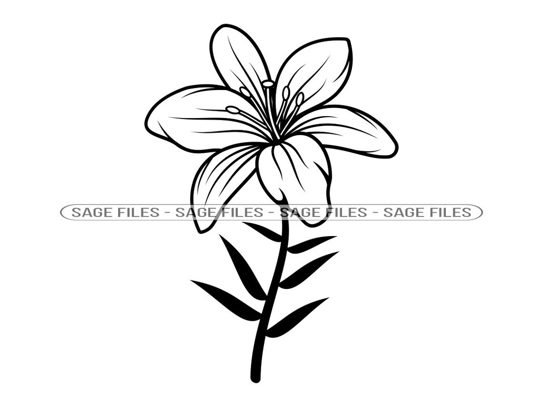 Lily Flower SVG, Lily SVG, Flower Svg, Lily Flower Clipart, Lily Flower ...