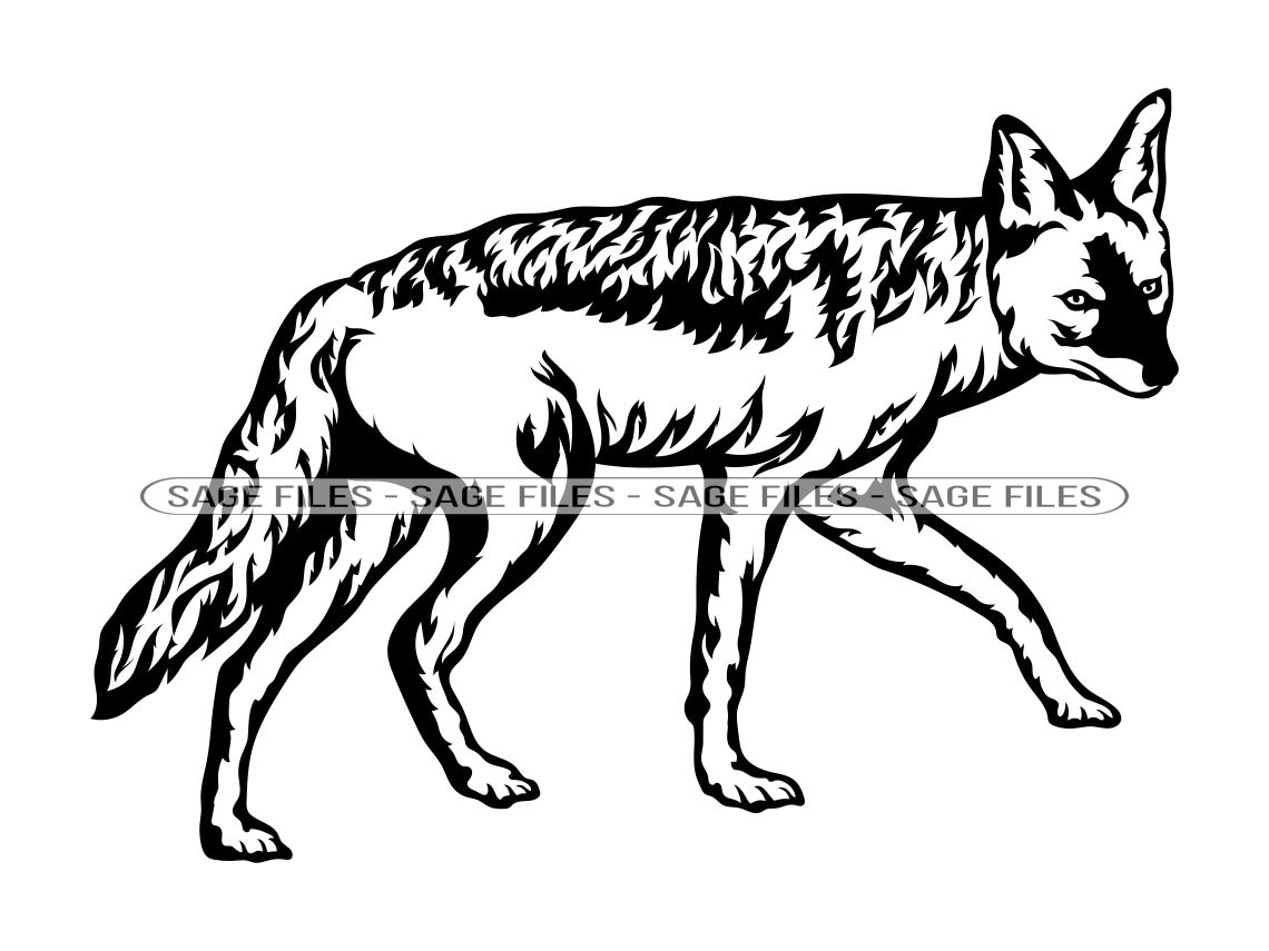 Jackal Clipart