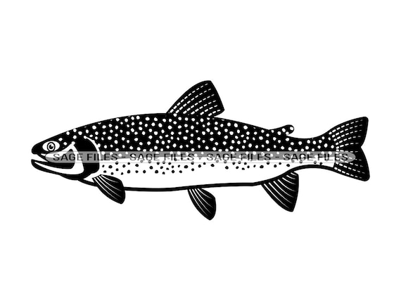 Rainbow Trout SVG Fishing Svg Fish Svg Fishing Clipart - Etsy Australia