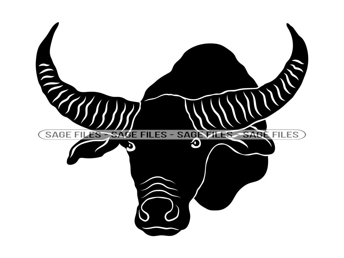 Carabao Head