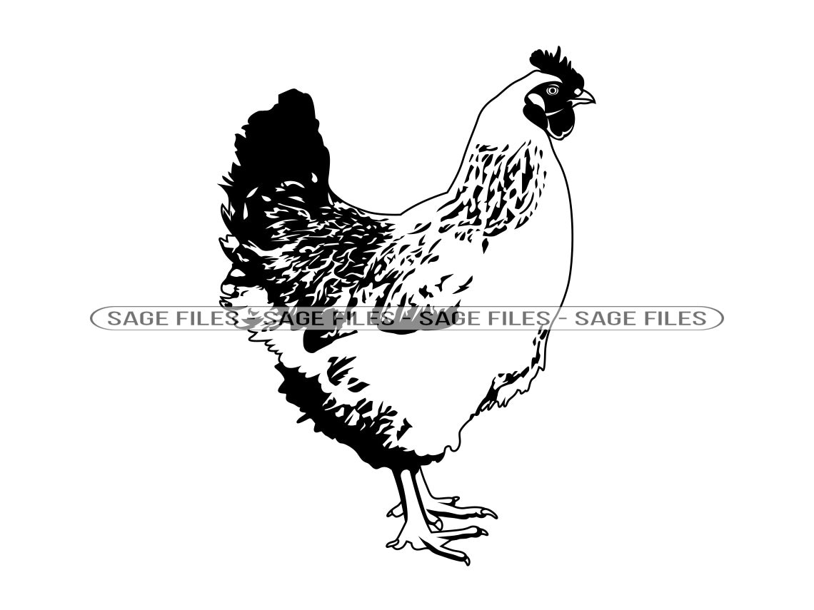 Chicken 2 SVG, Chicken SVG, Chicken Clipart, Chicken Files for Cricut ...