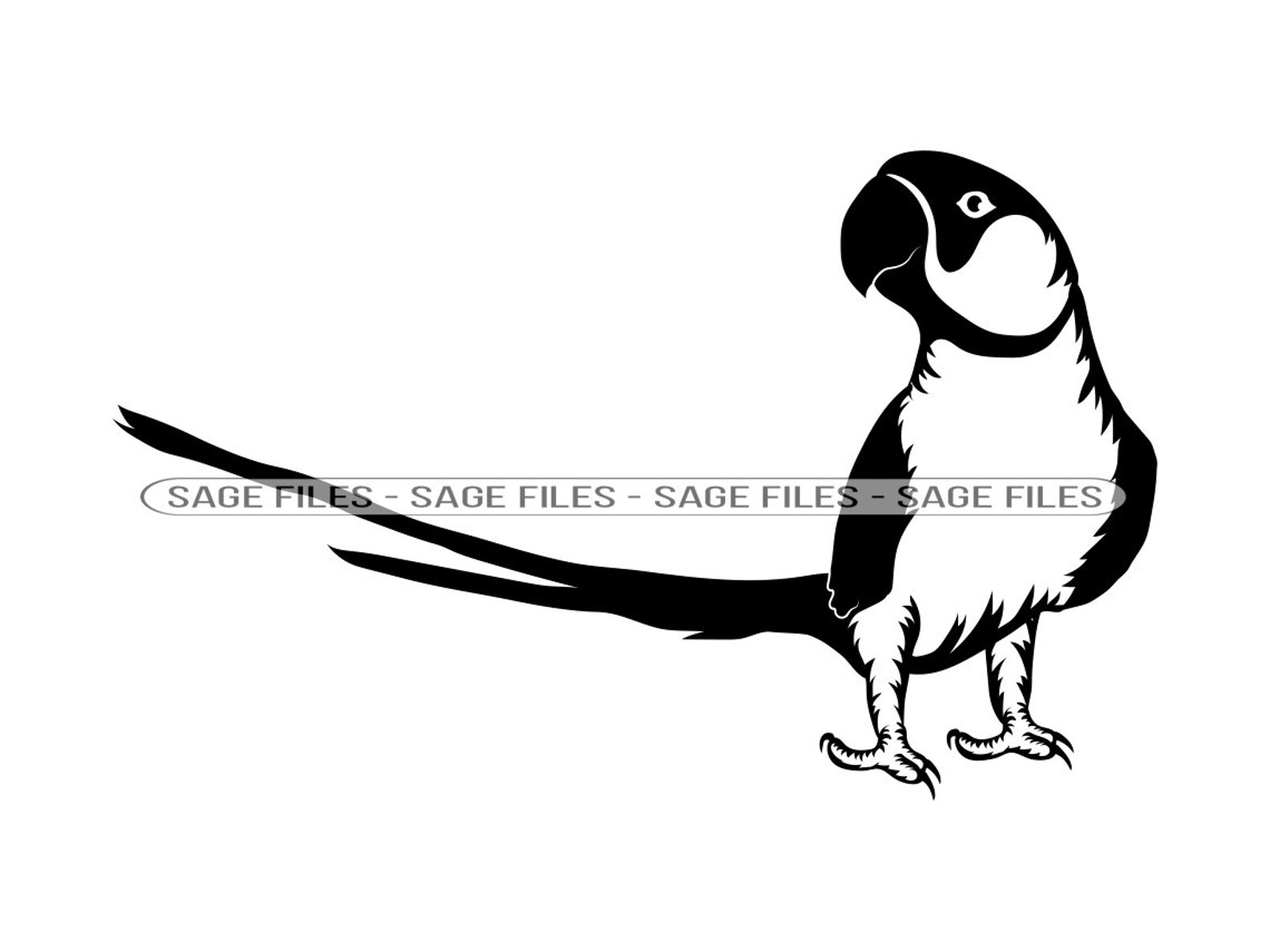 Parakeet SVG, Alexandrine Parakeet SVG, Parakeet Clipart, Parakeet ...