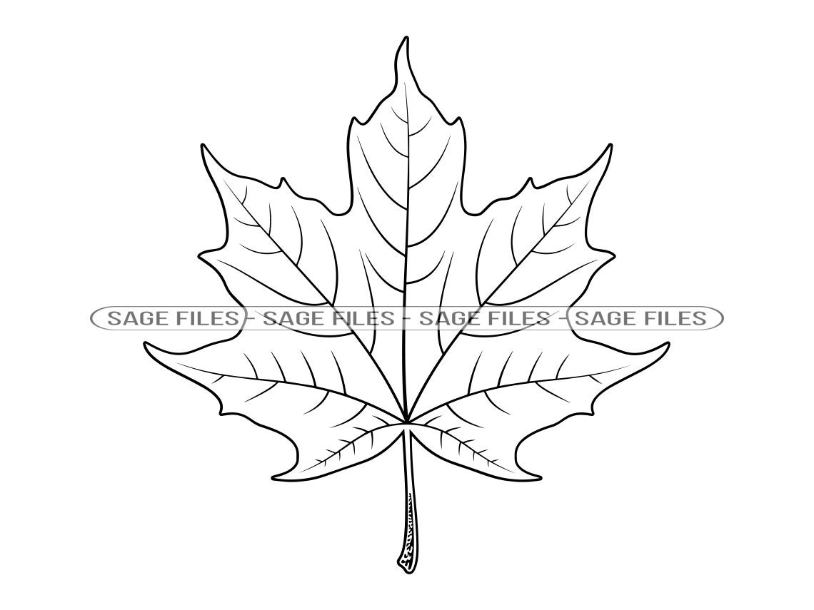 Maple Leaf Outline SVG, Maple Leaf Svg, Autumn Svg, Maple Leaf Clipart ...