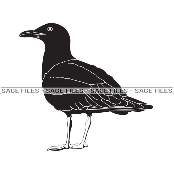 Sea Gull Stencil - Etsy