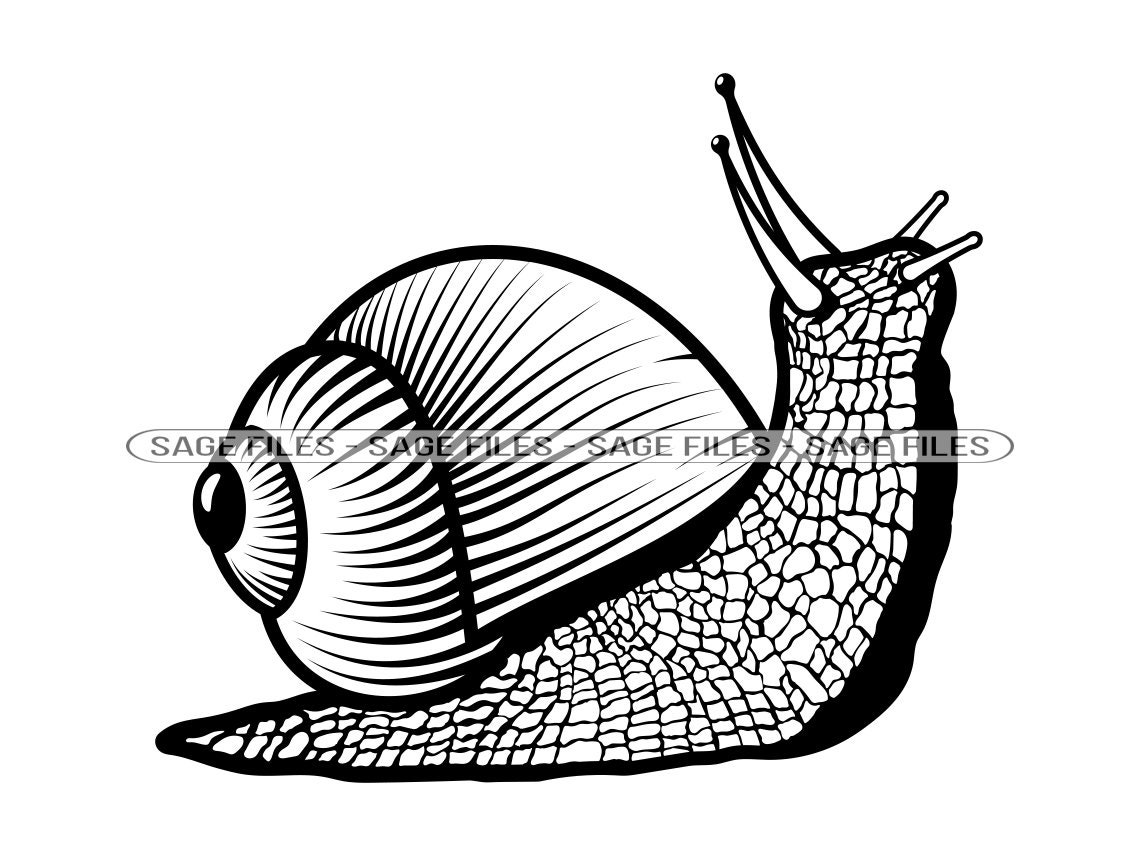 Escargot SVG, Escargot de jardin Svg, Clipart d’escargot, Fichiers d ...