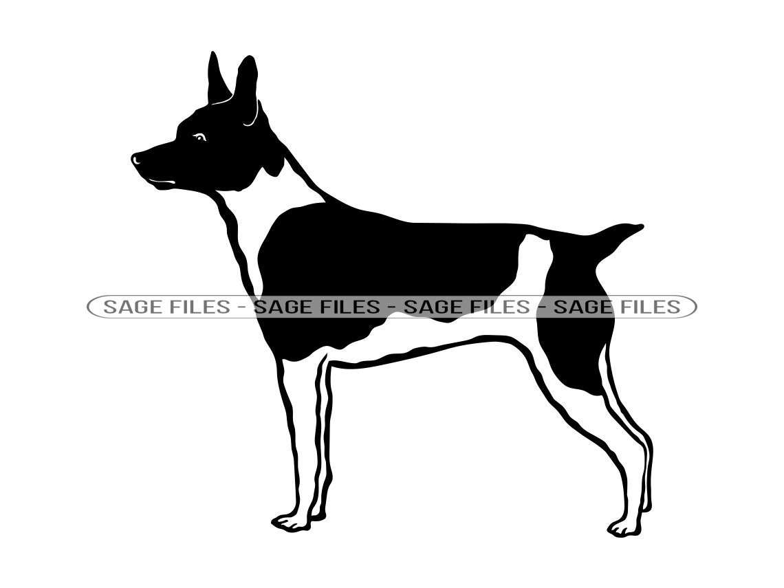 Rat Terrier SVG, Dog Svg, Rat Terrier Clipart, Rat Terrier Files for ...