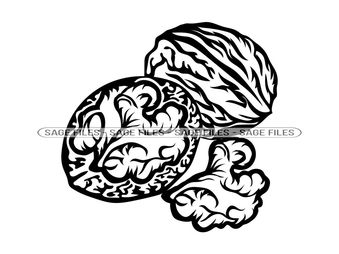 Walnuts SVG, Nuts Svg, Walnut Svg, Walnuts Clipart, Walnuts Files for ...