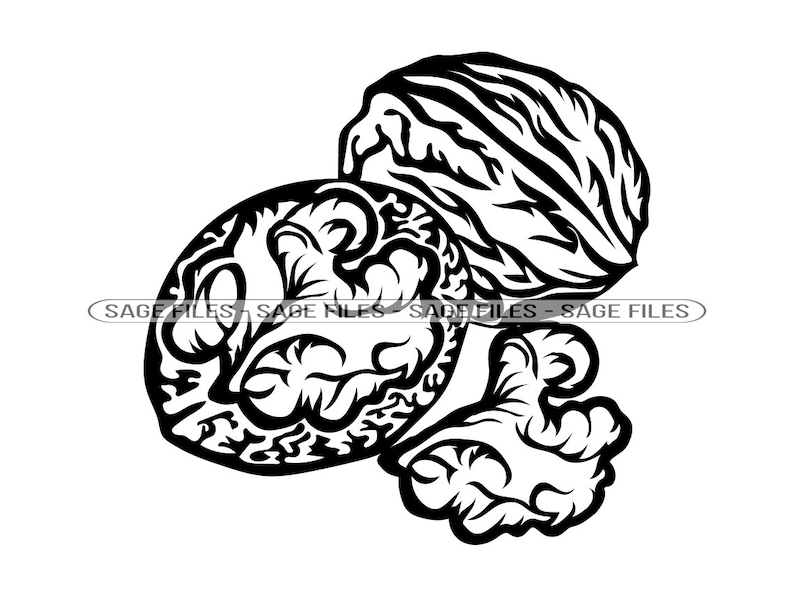 Walnuts SVG, Nuts Svg, Walnut Svg, Walnuts Clipart, Walnuts Files for ...
