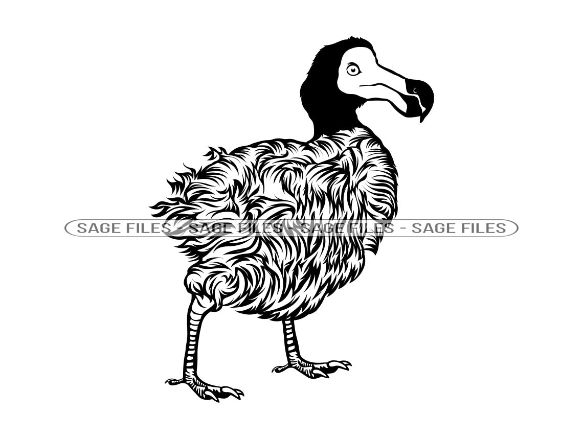 Dodo 3 SVG Dodo SVG Bird Svg Dodo Clipart Dodo Files for - Etsy