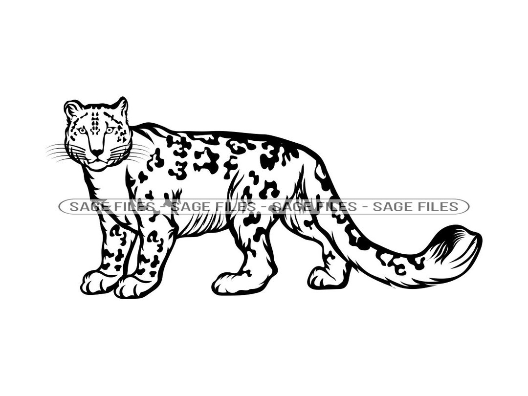 Snow Leopard SVG, Snow Leopard Clipart, Snow Leopard Files for Cricut ...