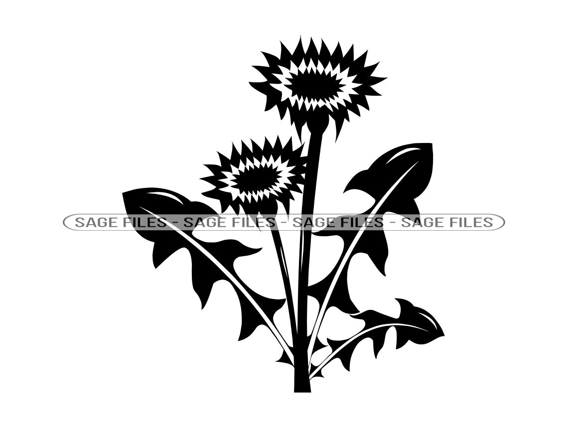 Dandelion 3 SVG Dandelion Svg Flower Svg Dandelion - Etsy