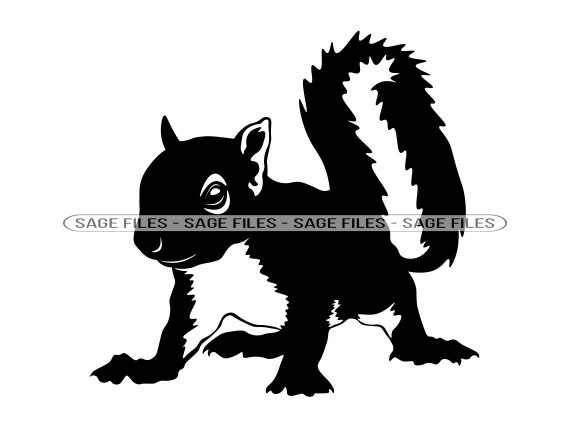 Squirrel 5 SVG Squirrel SVG Squirrel PNG Squirrel Design - Etsy