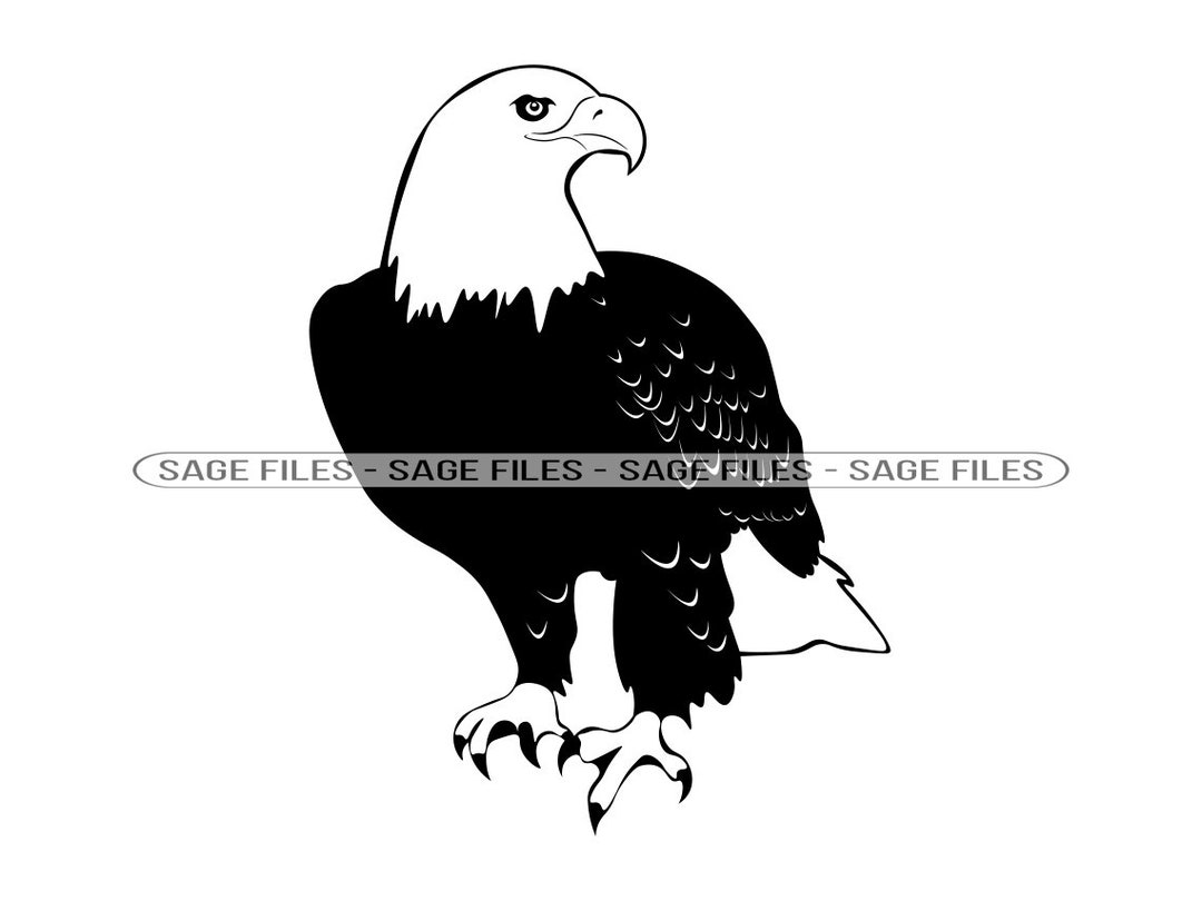 Eagle 6 SVG, Eagle SVG, Eagle PNG, Eagle Design, Eagle Clipart, Eagle ...