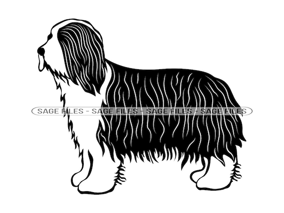 Bearded Collie SVG Dog Svg Bearded Collie Clipart Bearded - Etsy UK