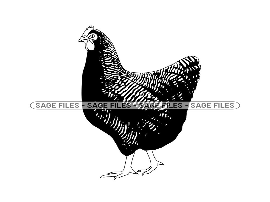 Chicken SVG, Chicken Clipart, Chicken Files for Cricut, Chicken Cut ...