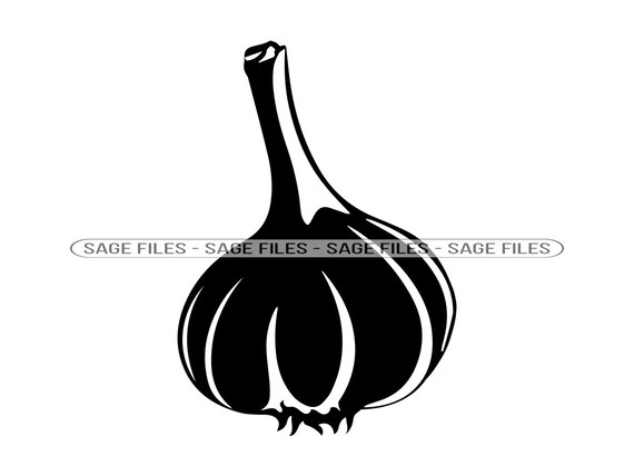 Garlic 4 SVG Garlic SVG Garlic Clipart Garlic Files for - Etsy