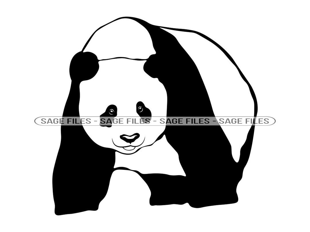 Panda 6 SVG Panda SVG Panda PNG Panda Design Panda - Etsy