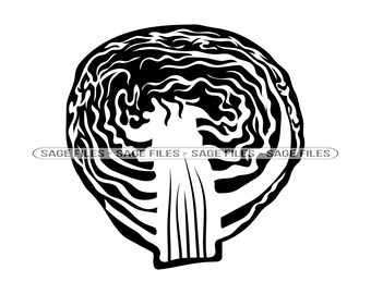 Cabbage Svg Vegetable Svg Cabbage Clipart Cabbage Files for - Etsy